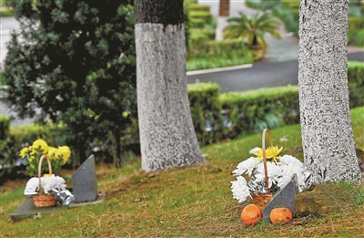 Land-saving ecological burial becomes new option for more people in ...